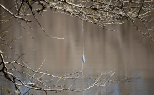 Trotline Fishing: How To Make A Trotline To Catch Catfish - Irvine Lake