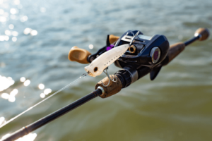 Types of Fishing Rods [A Guide For Beginners] - Irvine Lake