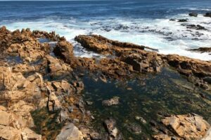 How To Read Tides for Fishing [And Catch More Fish] - Irvine Lake