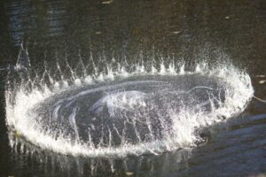 What Size Cast Net Is Easiest To Throw? - Irvine Lake