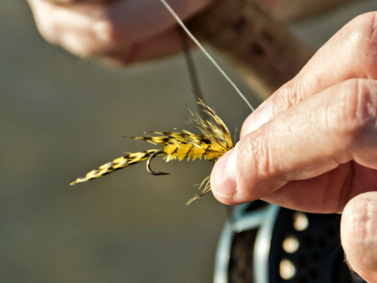 How Do You Tie A Nymph To A Tippet When Fishing? - Irvine Lake