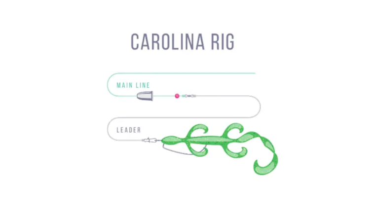 Carolina Rig VS Texas Rig Know When to Use - Irvine Lake